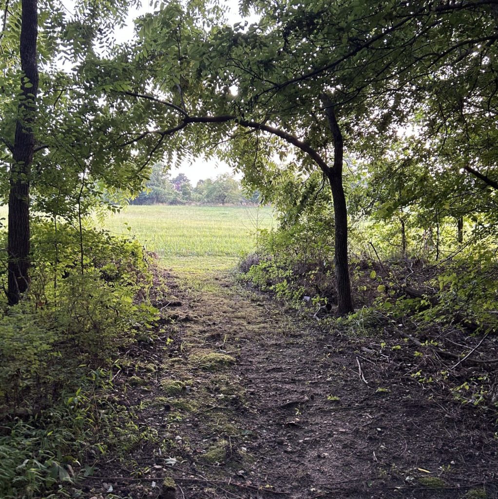 Front Page | The Shepherd's Tavern